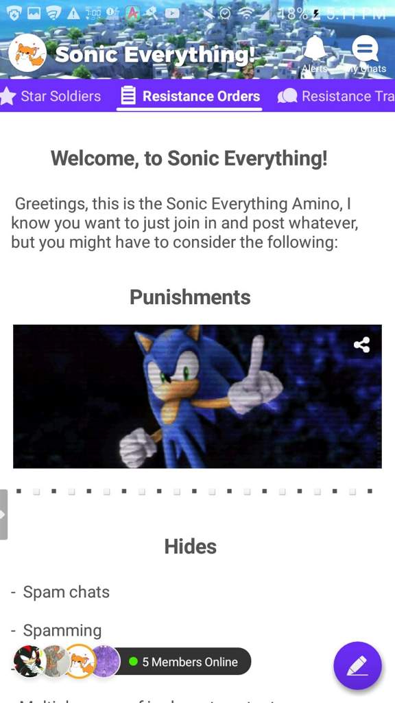Rules Sonic Everything Amino