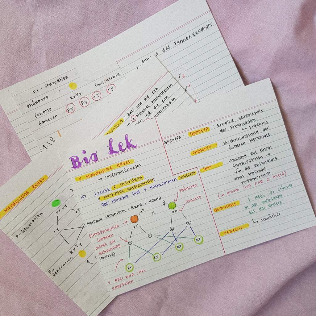 Biology Flashcards Studying Amino Amino