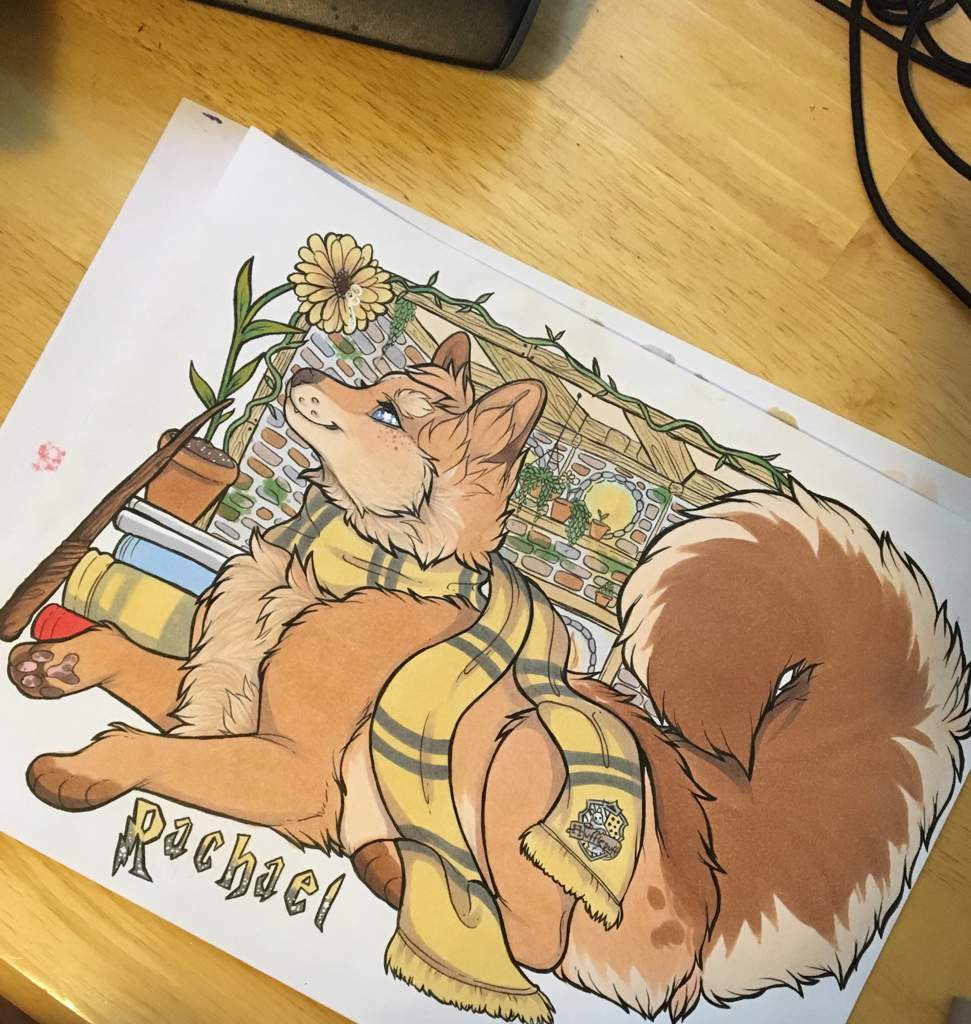 Hufflepuff And Ravenclaw Furry Amino hufflepuff-and-ravenclaw-furry-amino