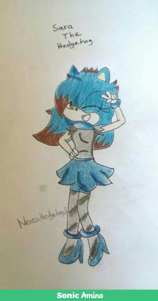 ˗ˏˋ『 Akko The Hedgehog 』ˎˊ˗ Sonic The Hedgehog Español Amino