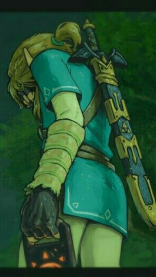 Link The Warrior The Legend Of Zelda Amino