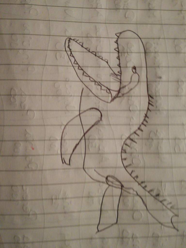 Dibujo De Mosasaurus ⚪jurassic Park Amino⚪ Amino