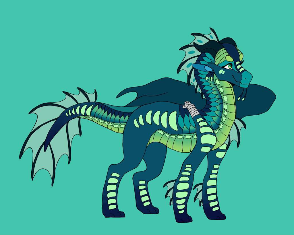 Seawing Custom Wings Of Fire Amino