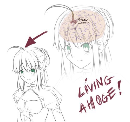It Would Be Great To Have An Ahoge Anime Amino