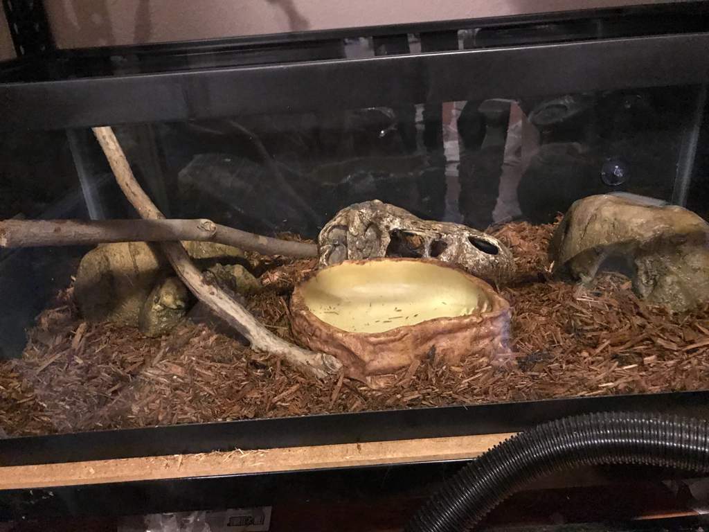 Glass Tank Enclosures (Ball Pythons) | Wiki | Reptiles Amino Glass Tank Enclosures (Ball Pythons) | Wiki | Reptiles Amino