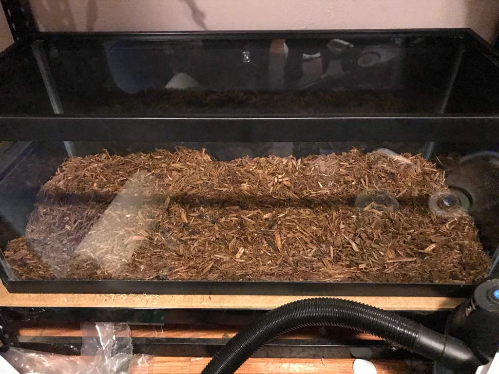 Glass Tank Enclosures (Ball Pythons) | Wiki | Reptiles Amino Glass Tank Enclosures (Ball Pythons) | Wiki | Reptiles Amino