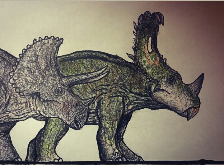 Синоцератопс | Wiki | Jurassic World Ru Amino