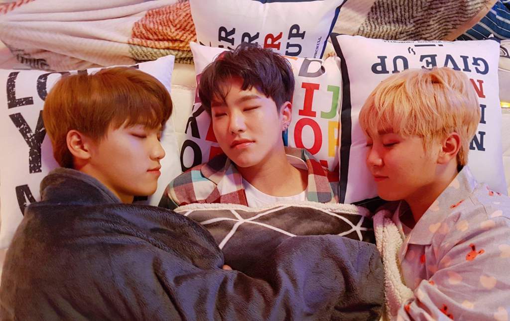 Seventeen Sleeping Habits educational K Pop Amino