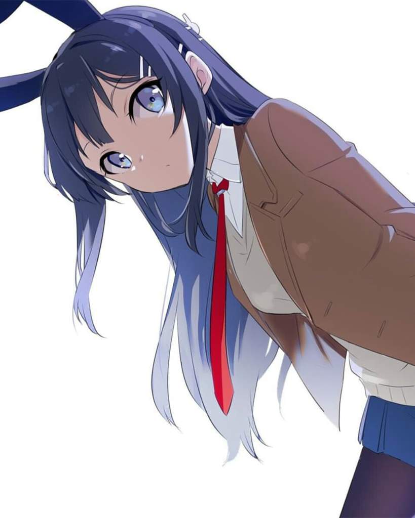Mai Sakurajima 🐰🐇 Wiki •anime• Amino