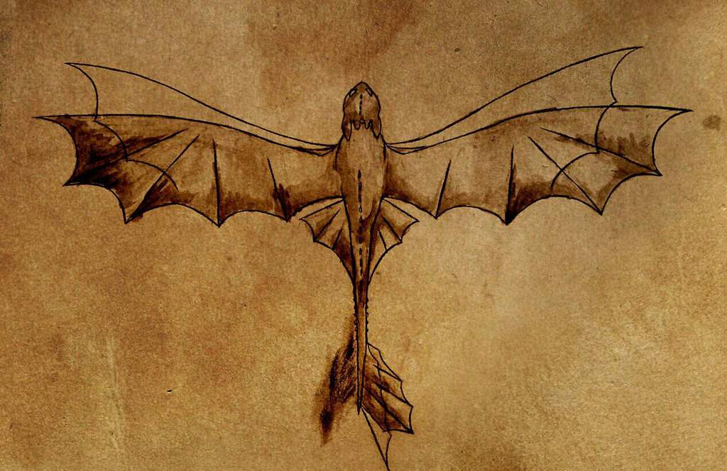 Chimuelo Wiki Dreamworks Dragons Amino Amino - vrogue.co Chimuelo Wiki Dreamworks Dragons Amino Amino - vrogue.co