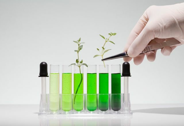 La Chimie Verte Et Ses 12 Principes Le Labo Des Sciences Amino