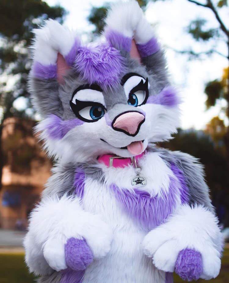 Fursuits | Wiki | Furry Español Amino Fursuits | Wiki | Furry Español Amino