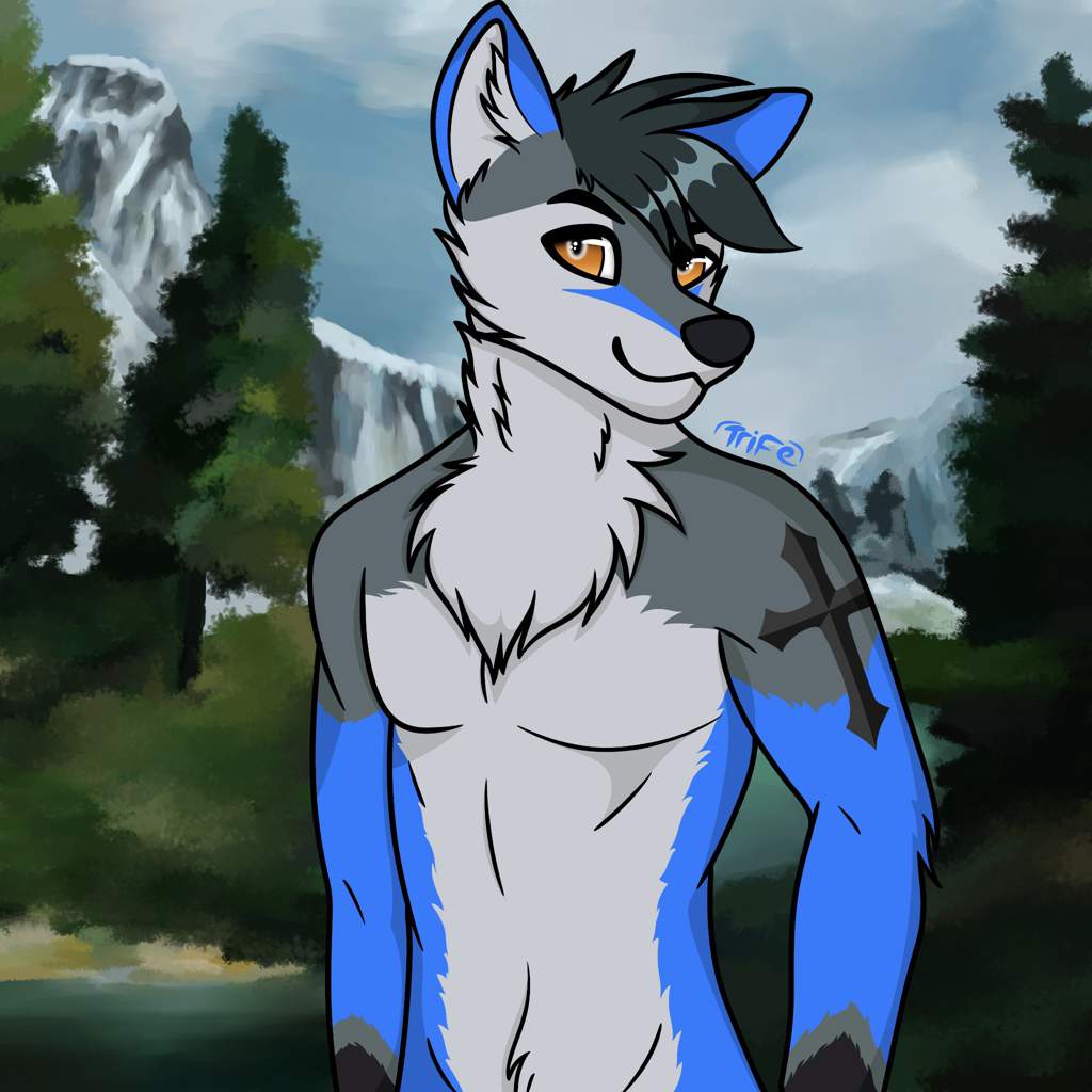 Blue Fox Wiki Furry Amino