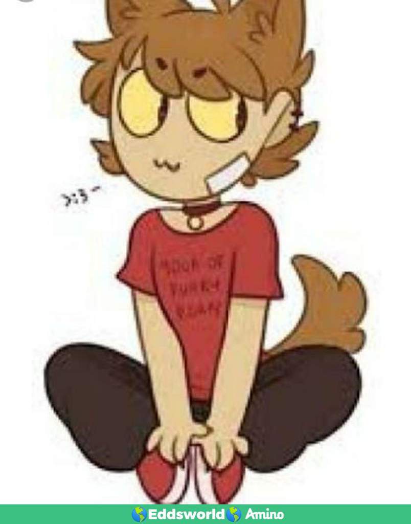 Eddsworldtord Neko Tord 🌎eddsworld🌎 Amino