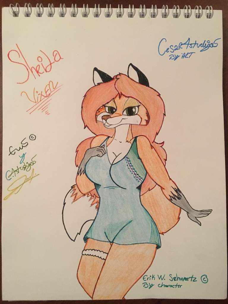 🦊🎆lovely Little Fox Sheila Vixen Fanart🎆🦊 Furry Español Amino