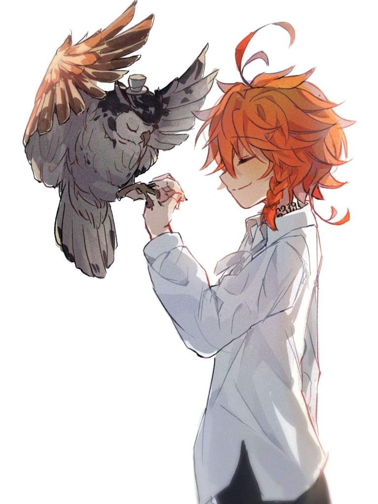 Обещанный Неверленд🍃 Amino