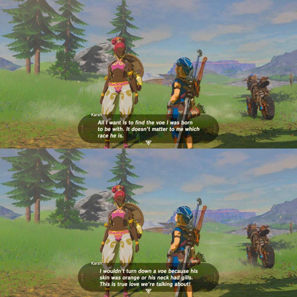 The Gerudo Should Be Extinct Zelda Amino
