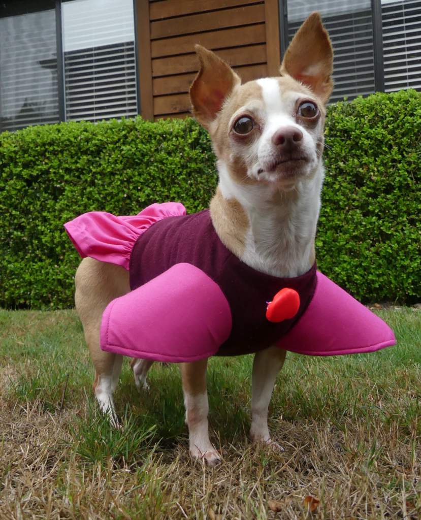 Spinel Cosplay Steven Universe Amino