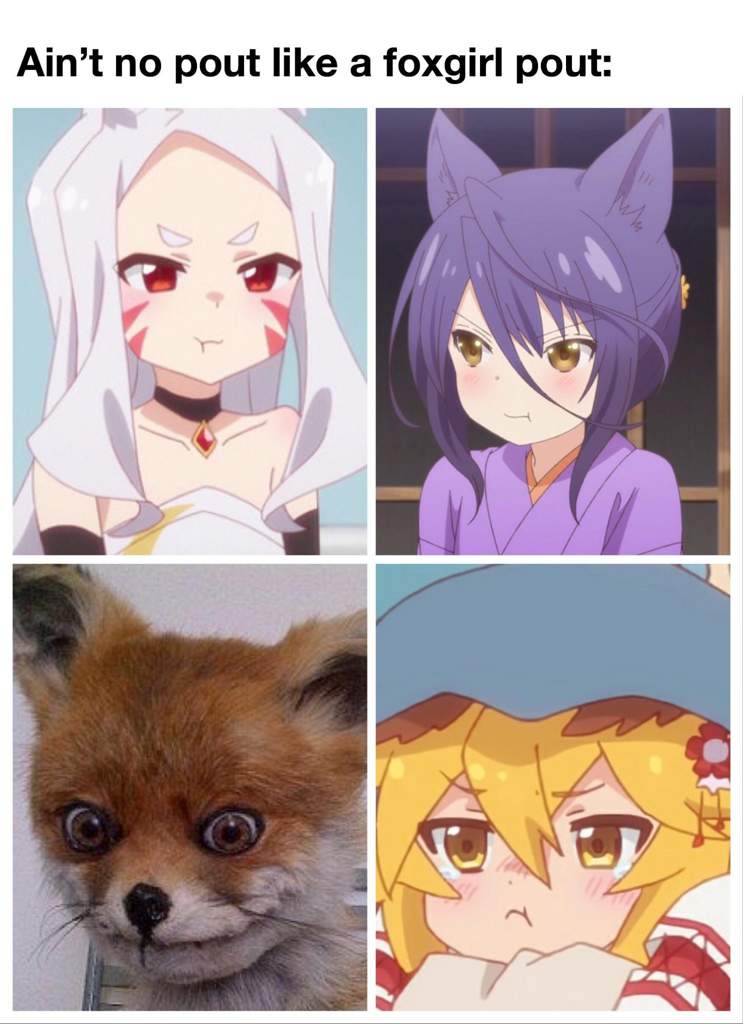 Some Senko San Memes Anime Amino