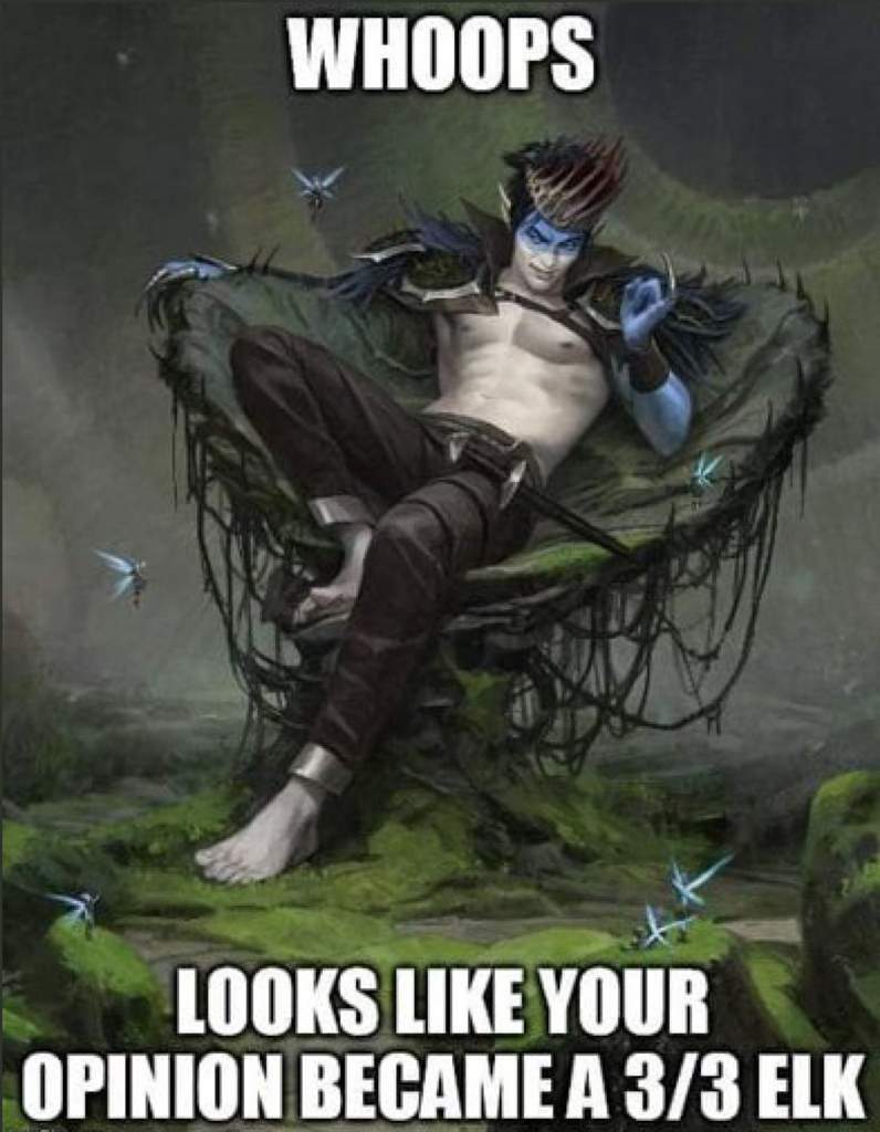Mtg Memes Wiki Mtg Amino