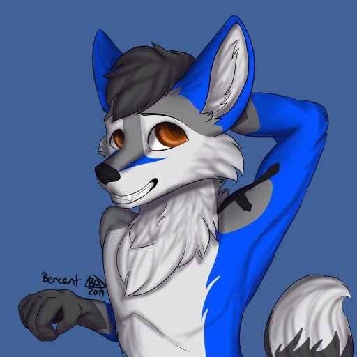 Blue Fox Wiki Furry Amino