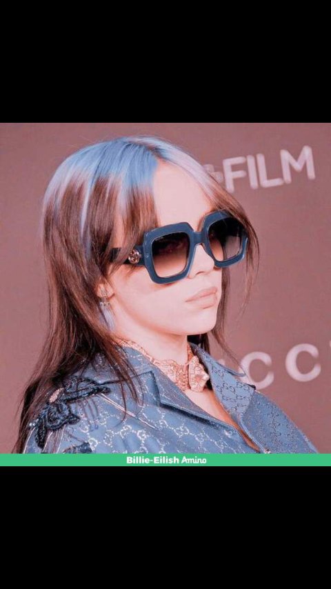 Billie Eilish Pirate Baird Oconnell Wiki Billie Eilish Amino