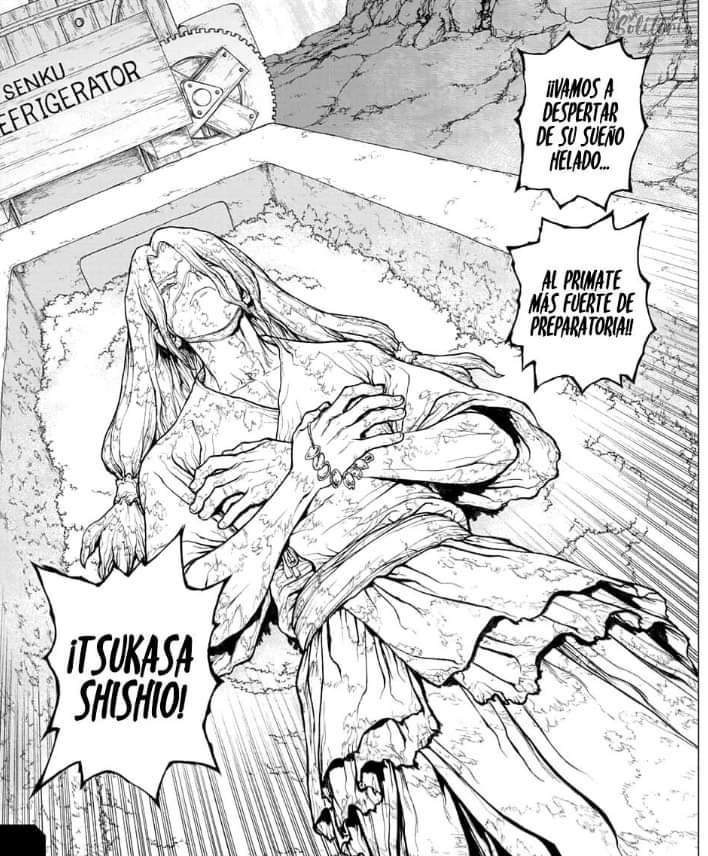 Lo Mejor De Dr Stone Tsukasa Va A Revivir •anime• Amino