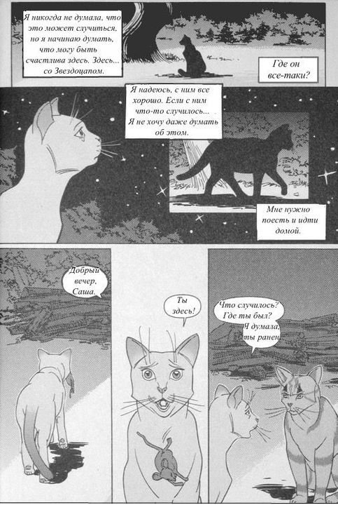 Манга Коты-Воители "Звездоцап и Саша: В поисках дома" | Лᴀʙᴀʜдᴏʙᴀя ...