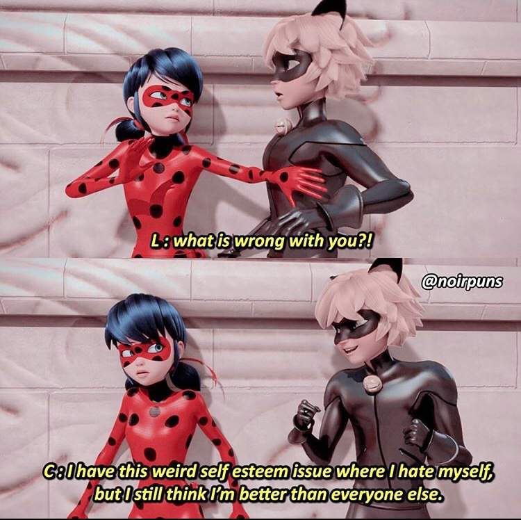 Miraculous Memes And Puns Part 4 ¡miraculous Ladybug Amino