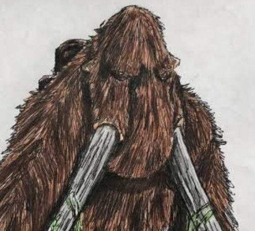 ⋈ Titanus Behemoth ⋈ Wiki Godzilla Brasil Amino