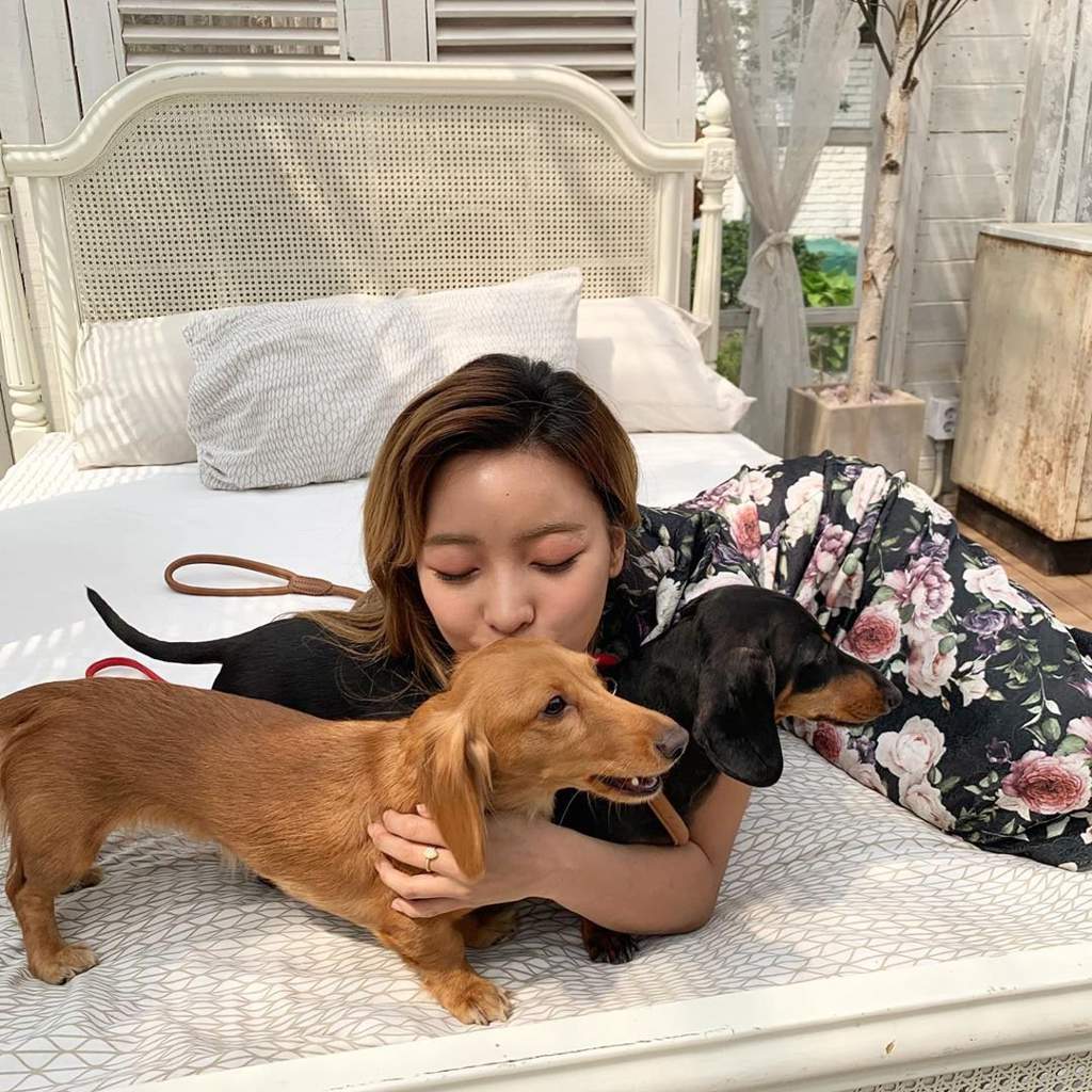 Luna Ig Updates 200415 17 Fx Amino