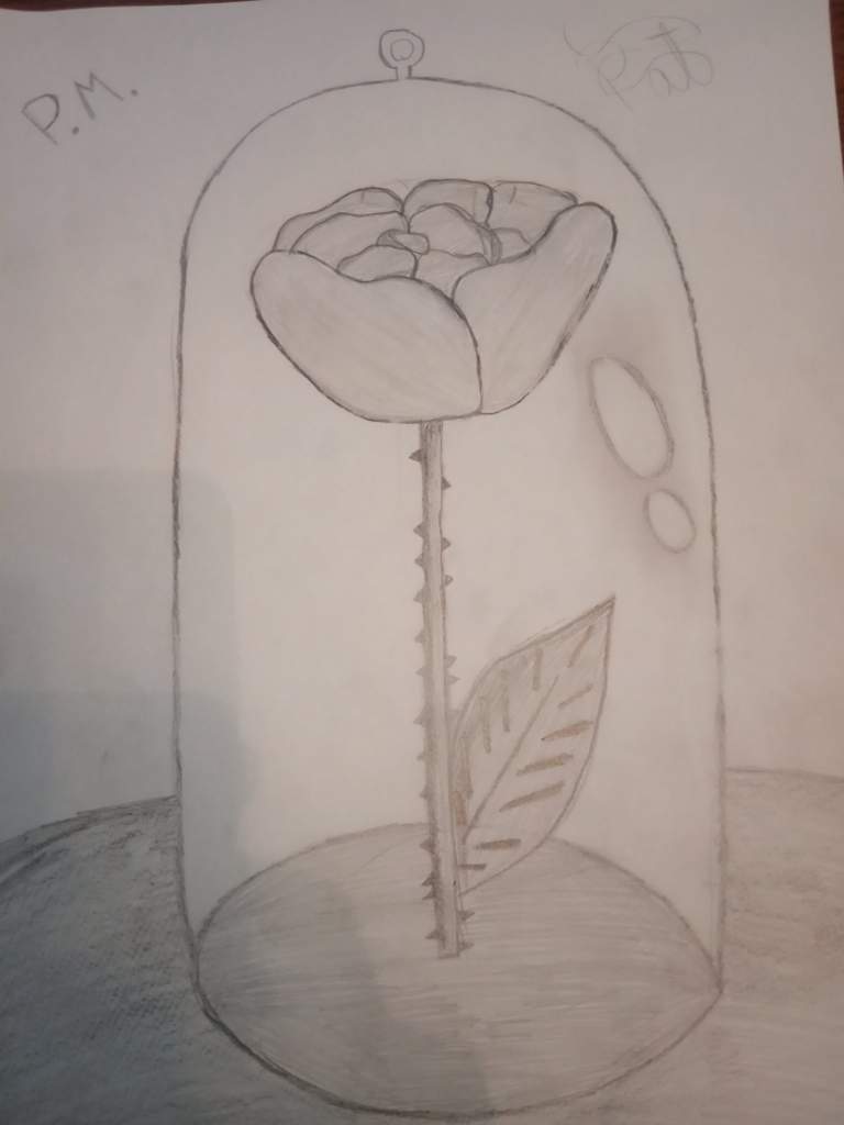 Роза из красавица и чудовище | Арты,скетчи и просто рисование Amino