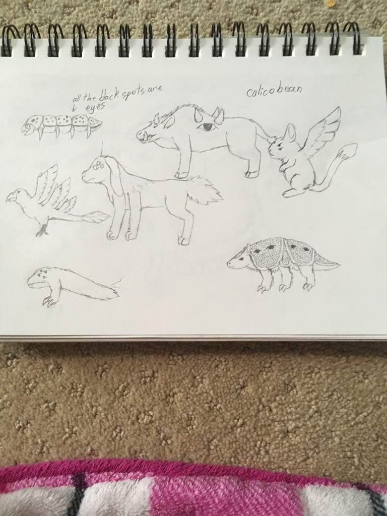 flora-fauna-concepts-for-the-contest-chizupi-amino-amino