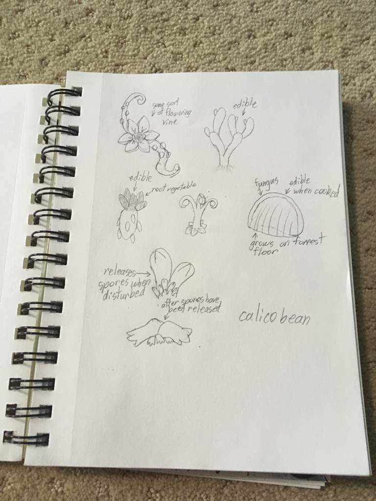 Flora Fauna Concepts For The Contest Chizupi Amino Amino