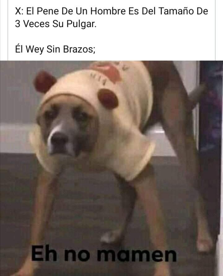 Las clases el linea no funcionan | •Meme• Amino Las clases el linea no funcionan | •Meme• Amino