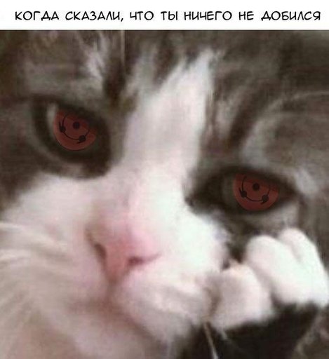 Попки | Аниме Amino Amino