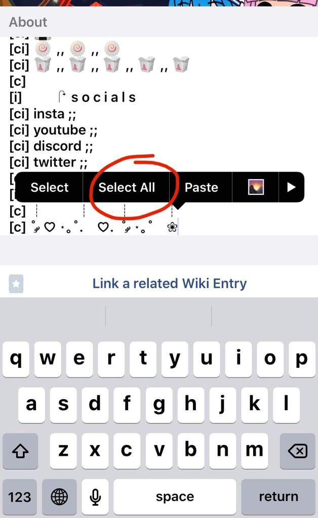 Kawaii Bio Template Wiki Official Lunime Amino