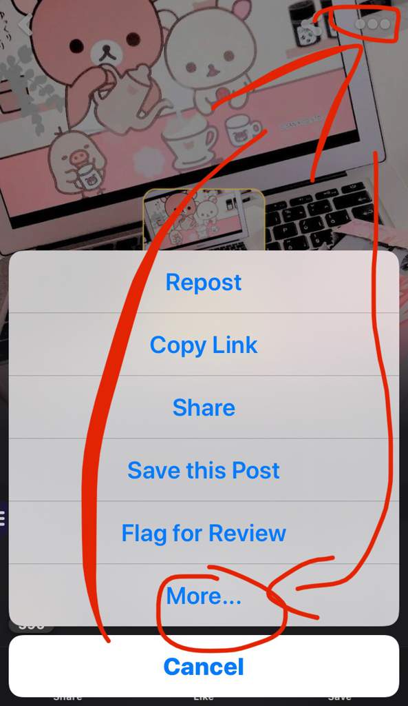 Kawaii Bio Template Wiki Official Lunime Amino