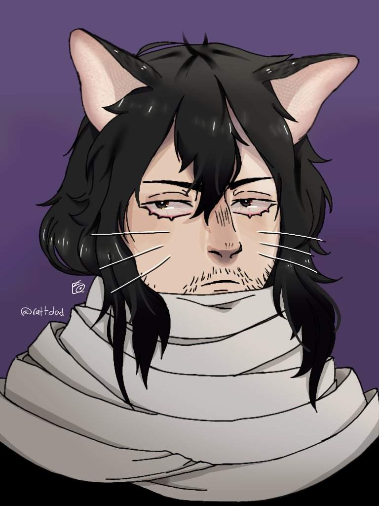 Neko Aizawa My Hero Academia Amino