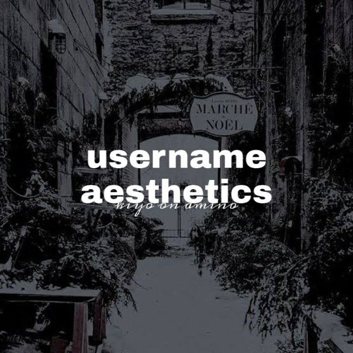 Username Aesthetic Wiki Templates And Stuff Amino