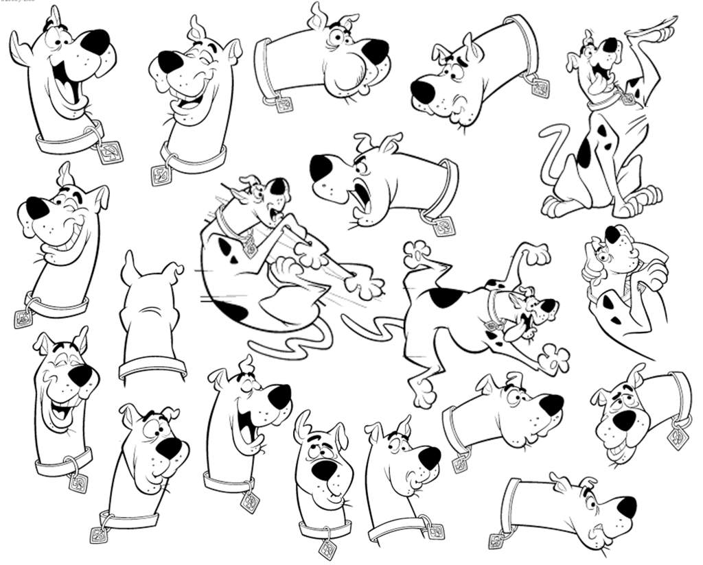 Scooby Doo Model Sheets Scooby Doo Amino Amino