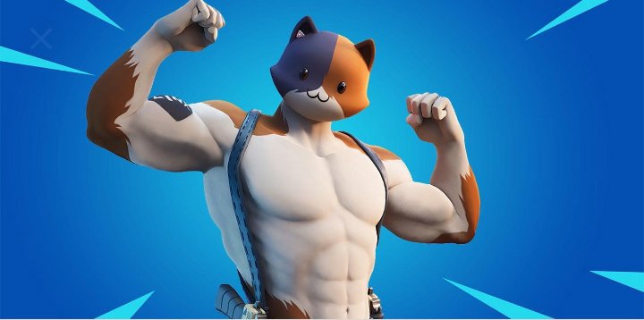 𝗠𝗶𝗮𝘂𝘀𝗰𝘂𝗹𝗼𝘀 Wiki Fortnite Español Amino