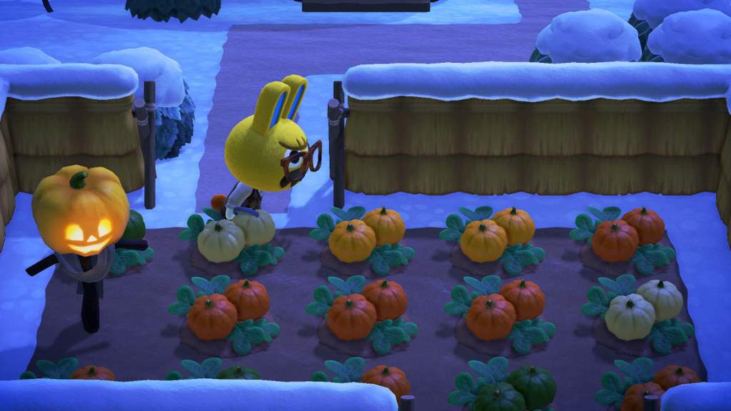 Я поручила ему тыквы, и он справляется 👍 | Animal Crossing [RUS] Amino