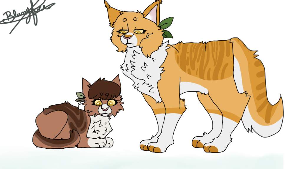 Leafpool X Mothwing