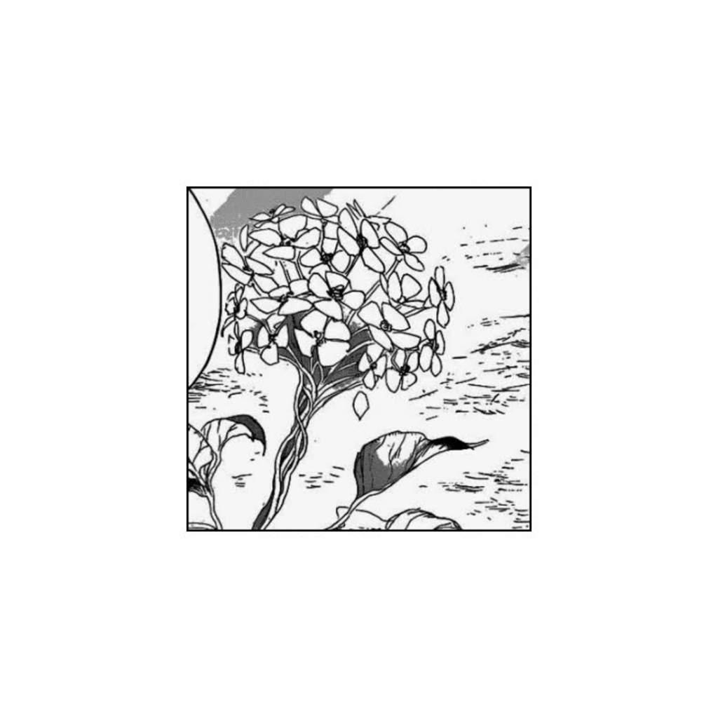 zettai zetsumei bio. | Wiki | The Promised Neverland Amino zettai zetsumei bio. | Wiki | The Promised Neverland Amino