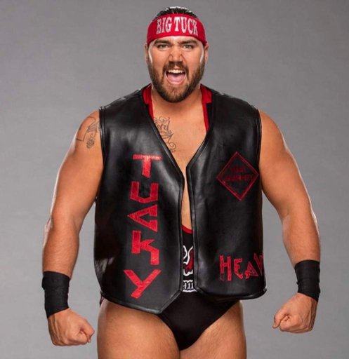 Happy Birthday To Bart Gunn Pro Wrestling Amino