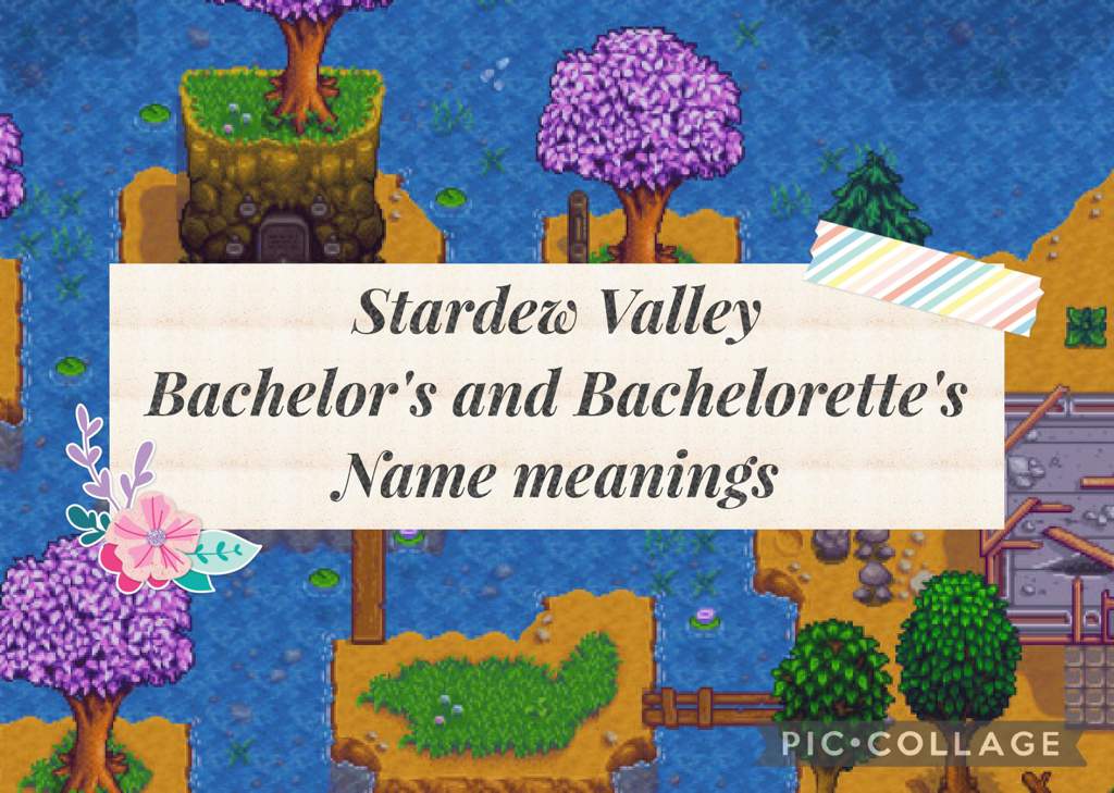 Stardew Valley Name Meaning Stardew Valley Amino stardew-valley-name-meaning-stardew-valley-amino