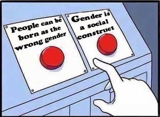 Gender Theory And Social Constructivism Debate Amino