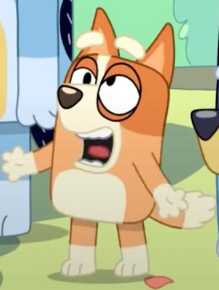 Give bluey memes | Bluey Amino Give bluey memes | Bluey Amino