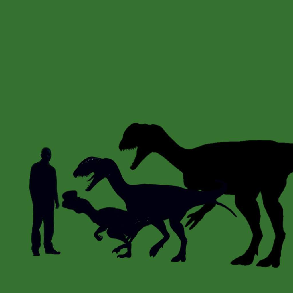 🐍 ° Wiki ⚪jurassic Park Amino⚪ Amino